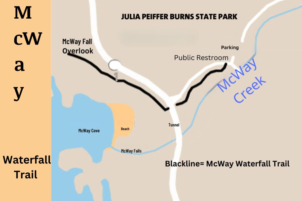 10 Best Trails in Big Sur: A Hiker's Paradise Explored